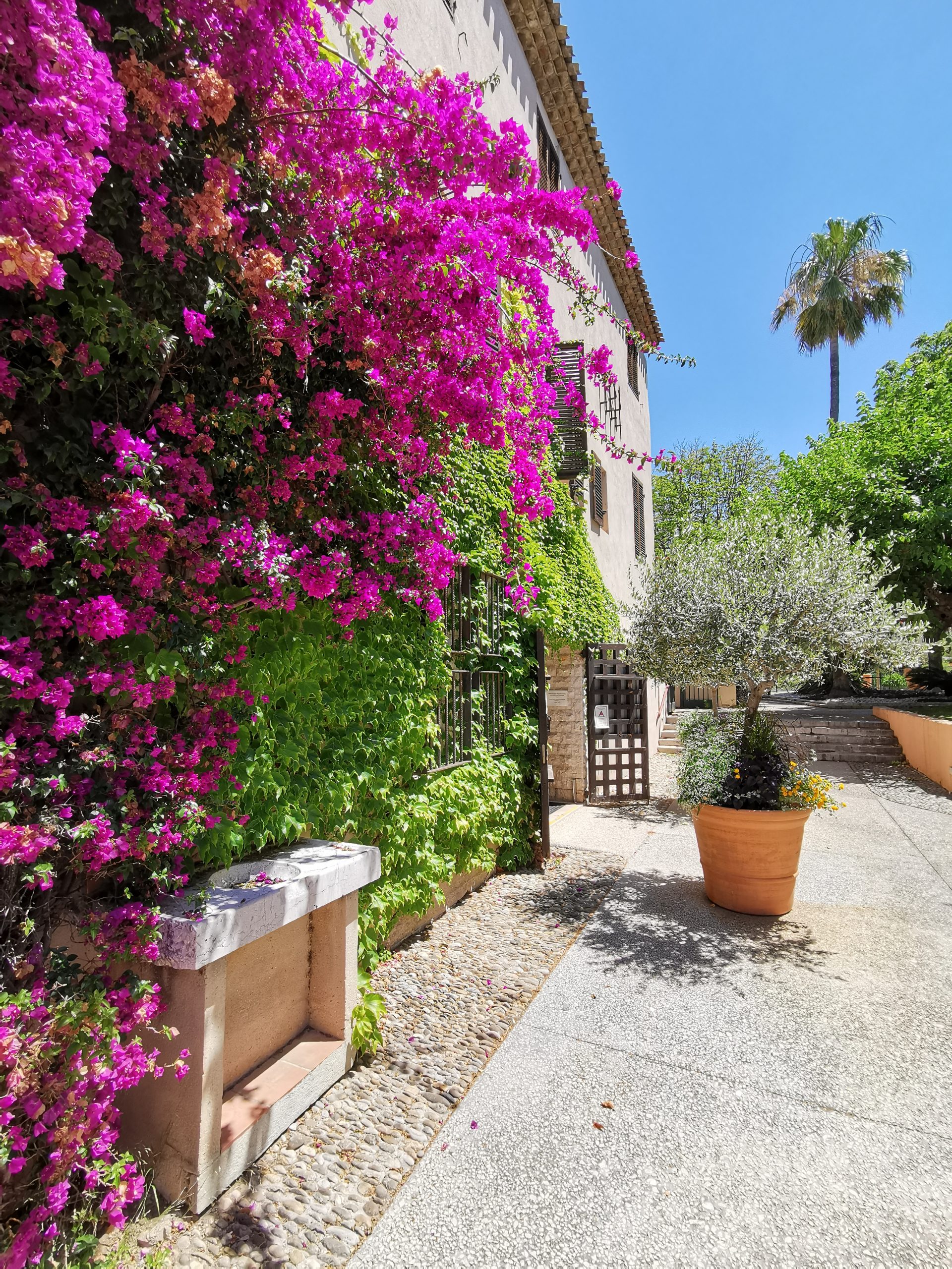 Cassis: guide complet pour un week-end - Travelwithaliciah